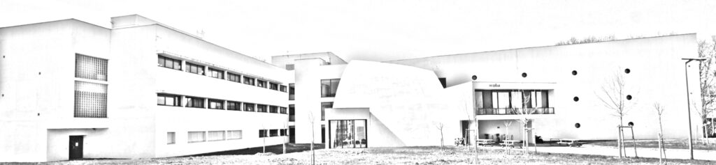 Equipes – IMoPA